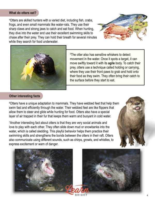 Otters, Free PDF Download - Learn Bright